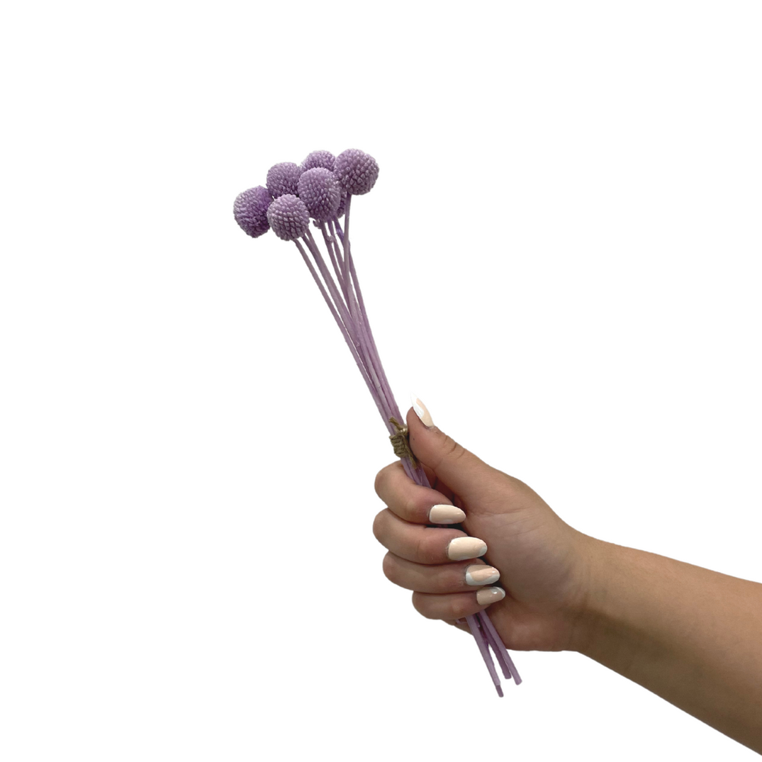 FLOWERS — Page 6 — Cakers Warehouse